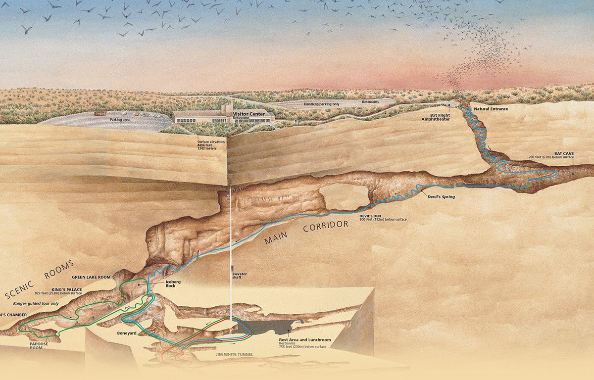 Carlsbad Caverns, New Mexico. Original art by Robert Hines. | Travel ...
