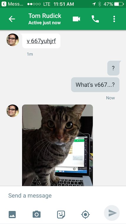 Ellen Chisa (@ellenchisa) | Twitter