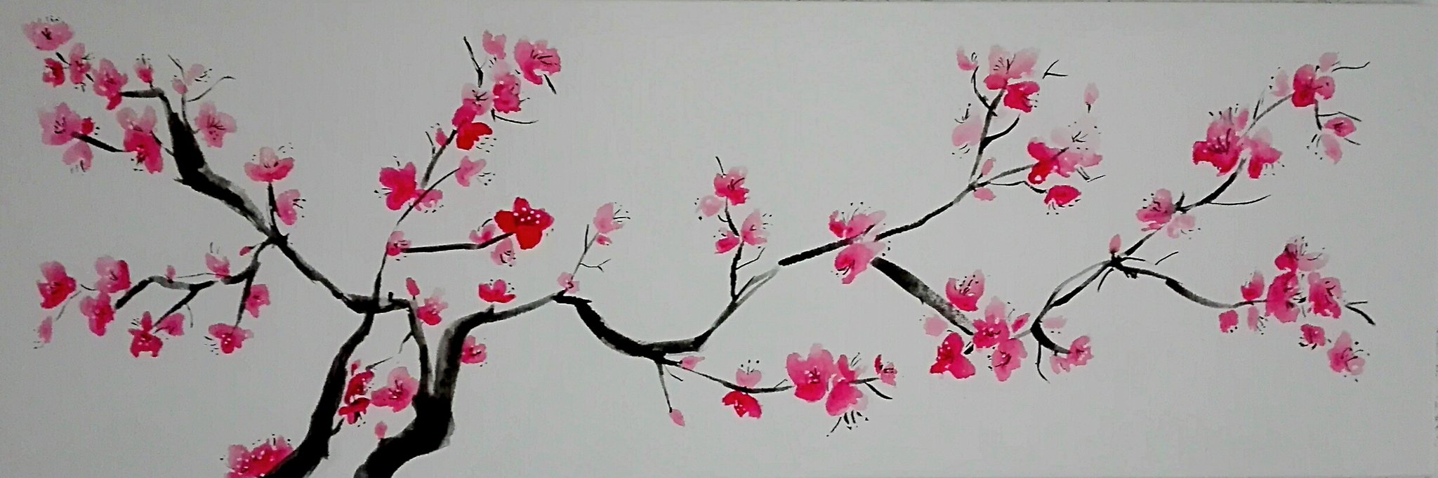 Chinese Cherry Blossom Drawing