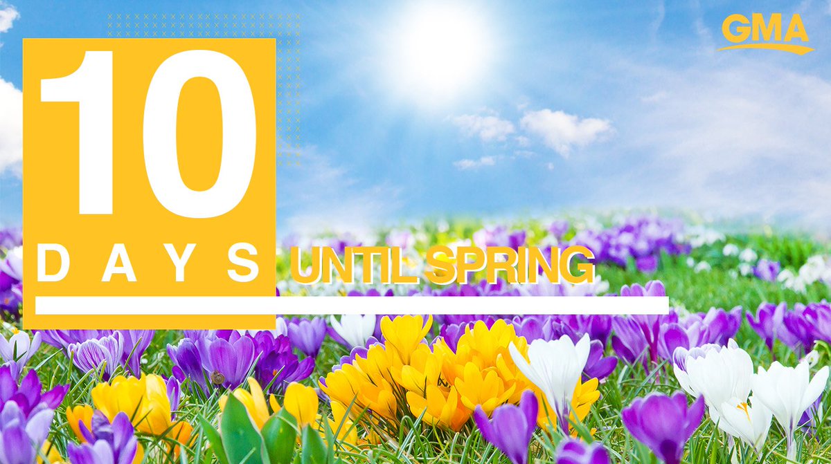🌸🌺💐only 10 days until spring! 🌸🌺💐 - scoopnest.com