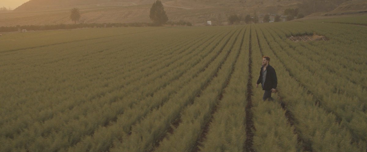 Next To Me Music video Confirmed : r/imaginedragons