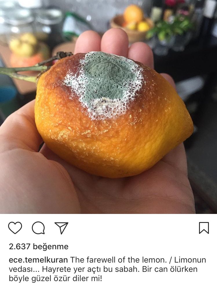 Sadullah Ceran (@sadullahceran) | Twitter