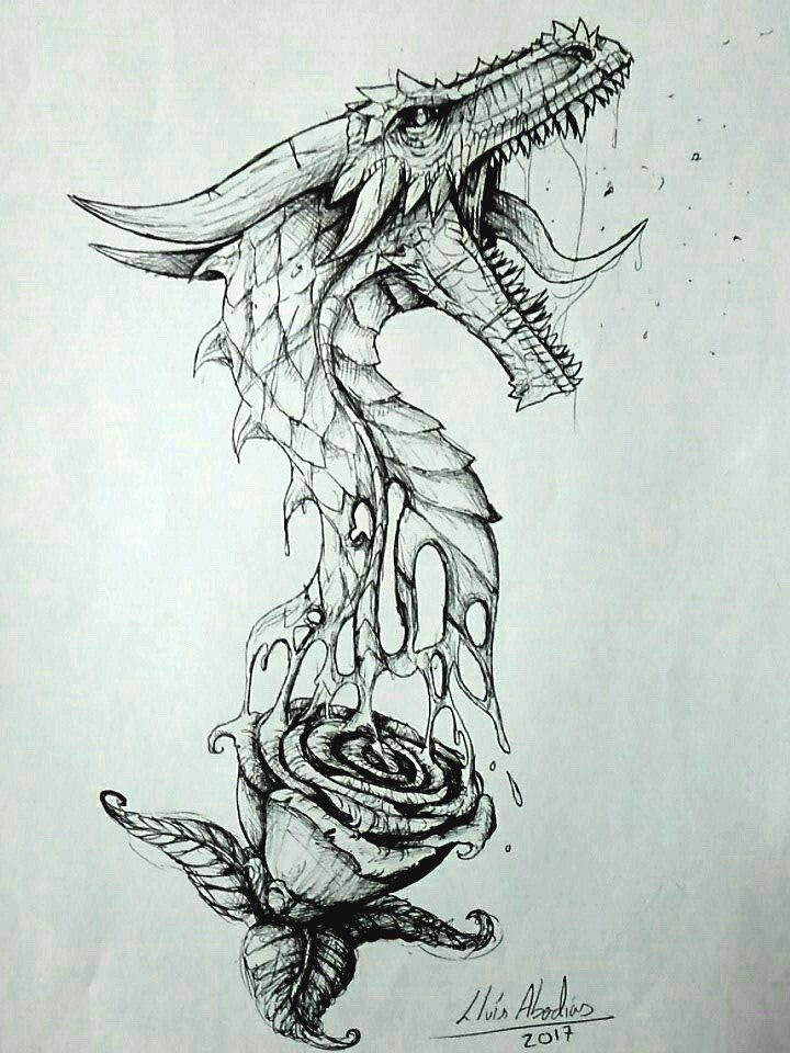 Dragons And Roses Drawings