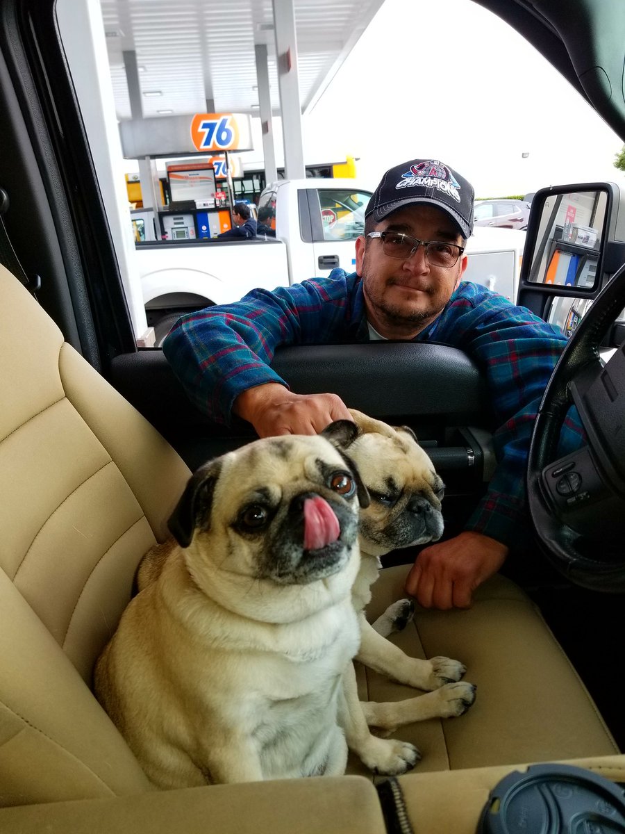 65 best Yuuup images on Pholder | Davethemogul, Emma Rose Kenney and ...