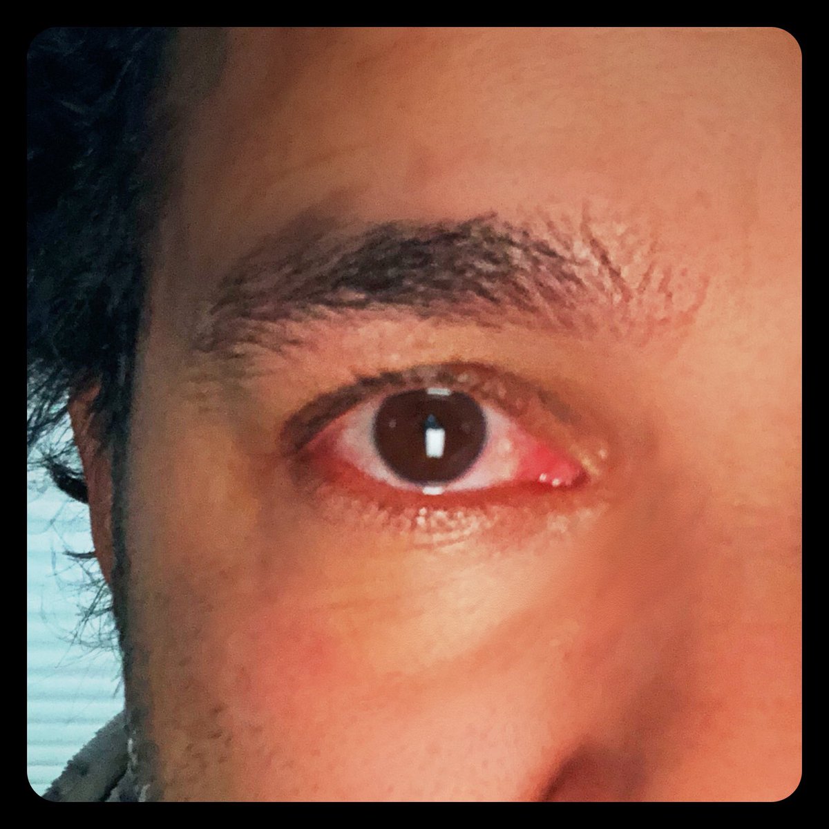 292 best Bcuz images on Pholder | Ttttrans, Brawlstars and 4tran