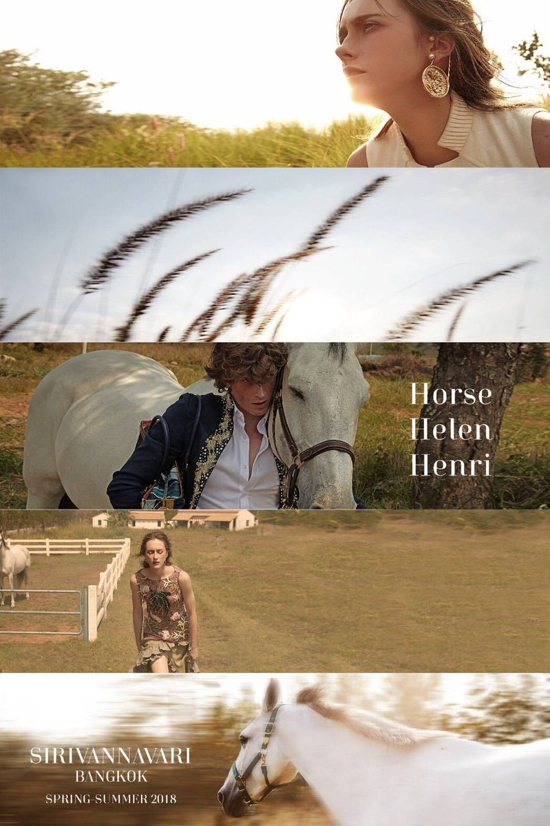 PingPing_Sunny😺 (@PD_Ping) | Twitter