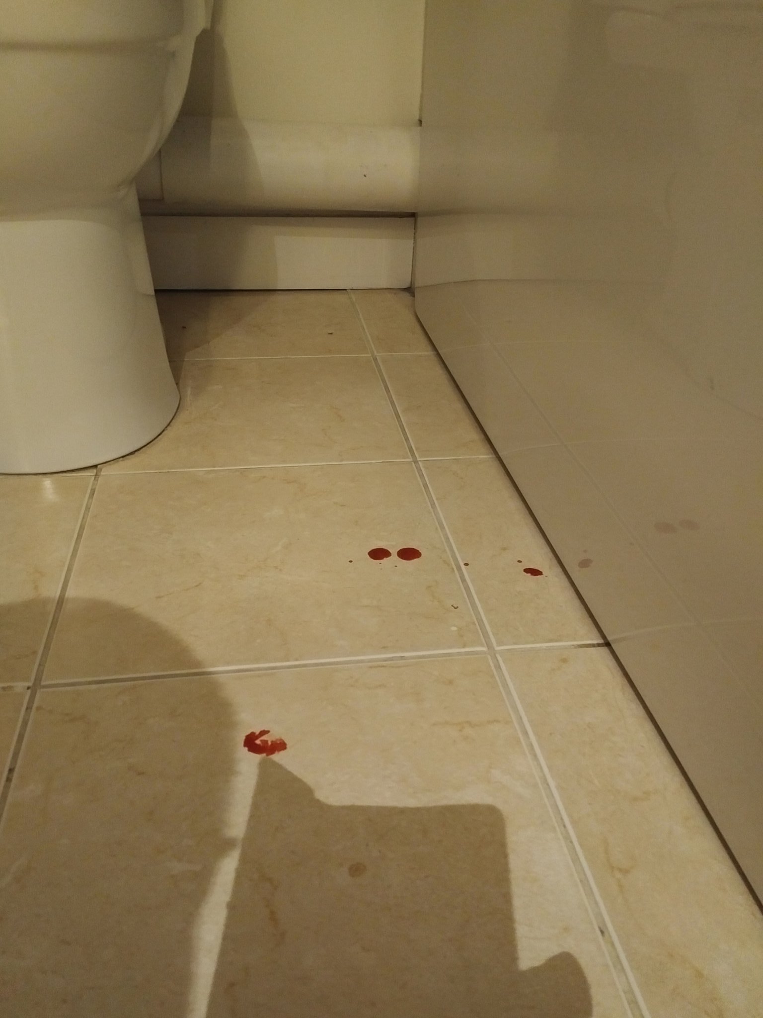 Blood On Tile Floor