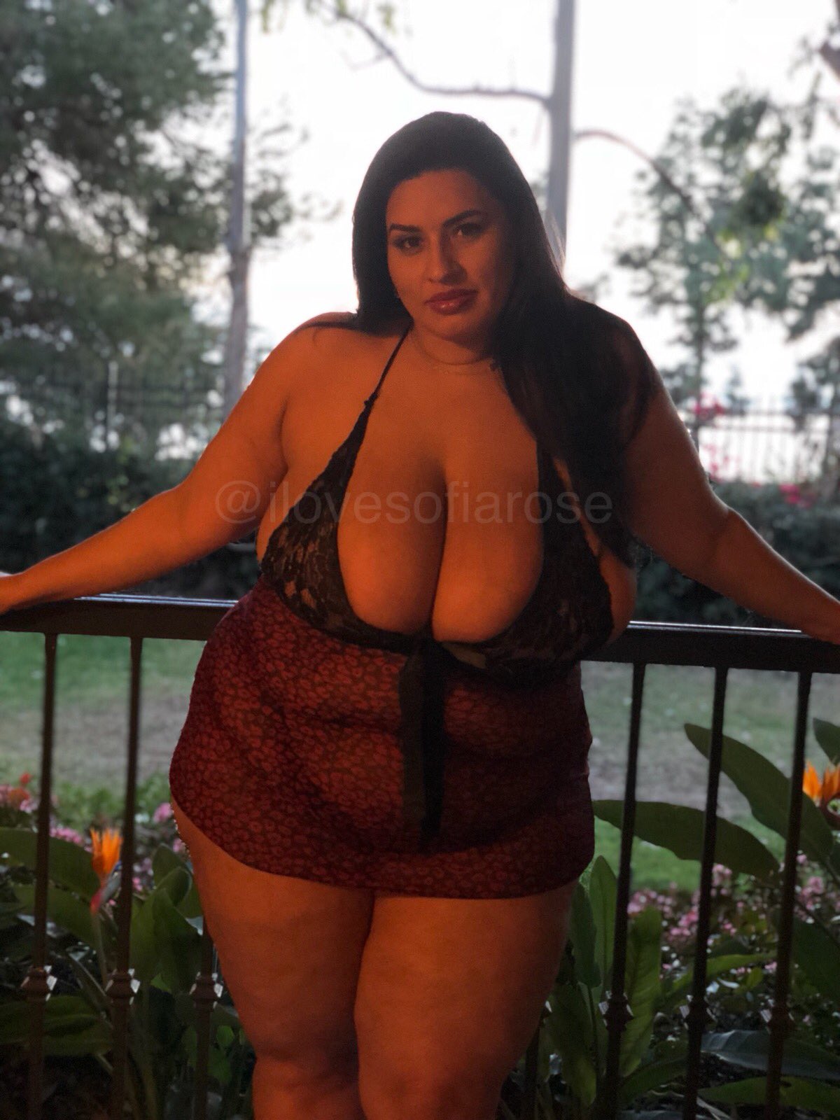 Magic Alexander 1976: Sofia Roses Decolletée