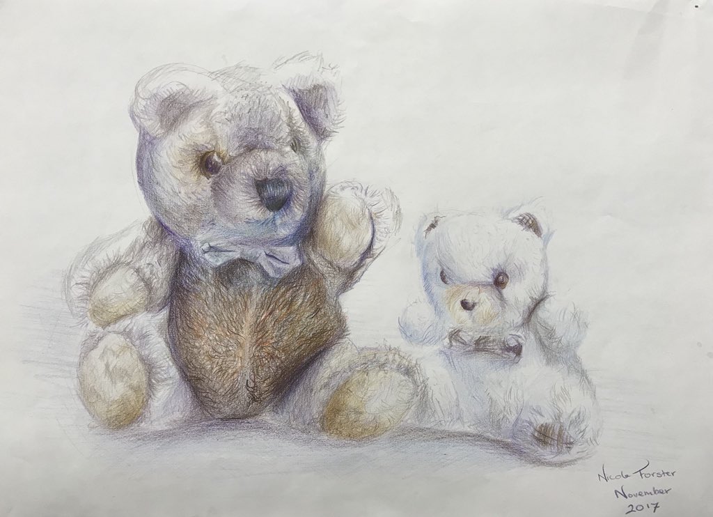Realistic Teddy Bear Drawing