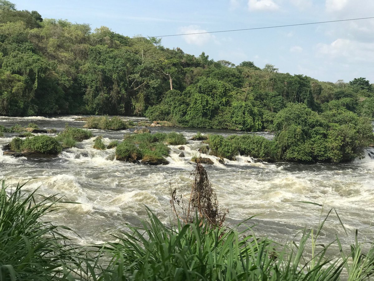 Karuma: Latest news, Breaking headlines and Top stories, photos & video ...