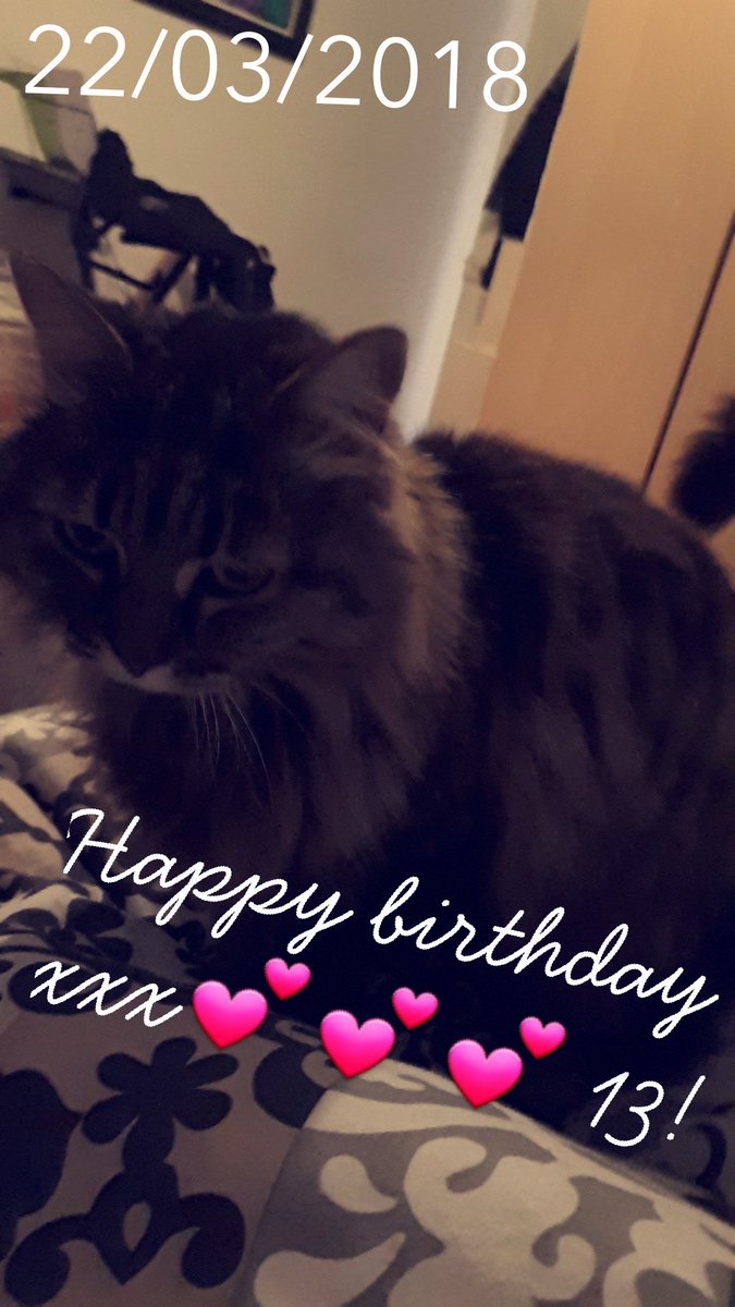 Jorja.xo (@JorjaHarrison1) | Twitter