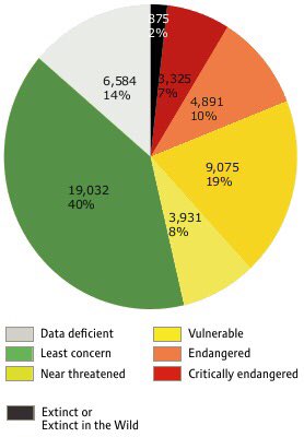 Animal Extinction Chart