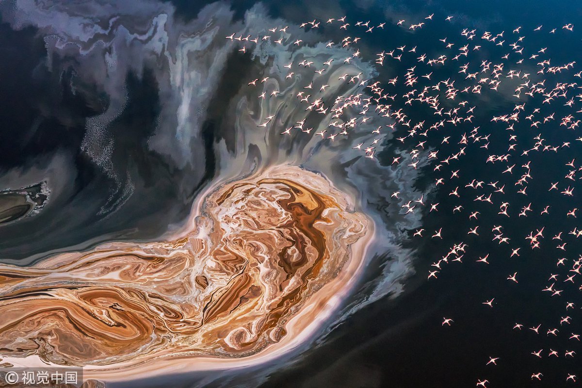 LEWIS KARANI. (@LEWISCARANI) | Twitter