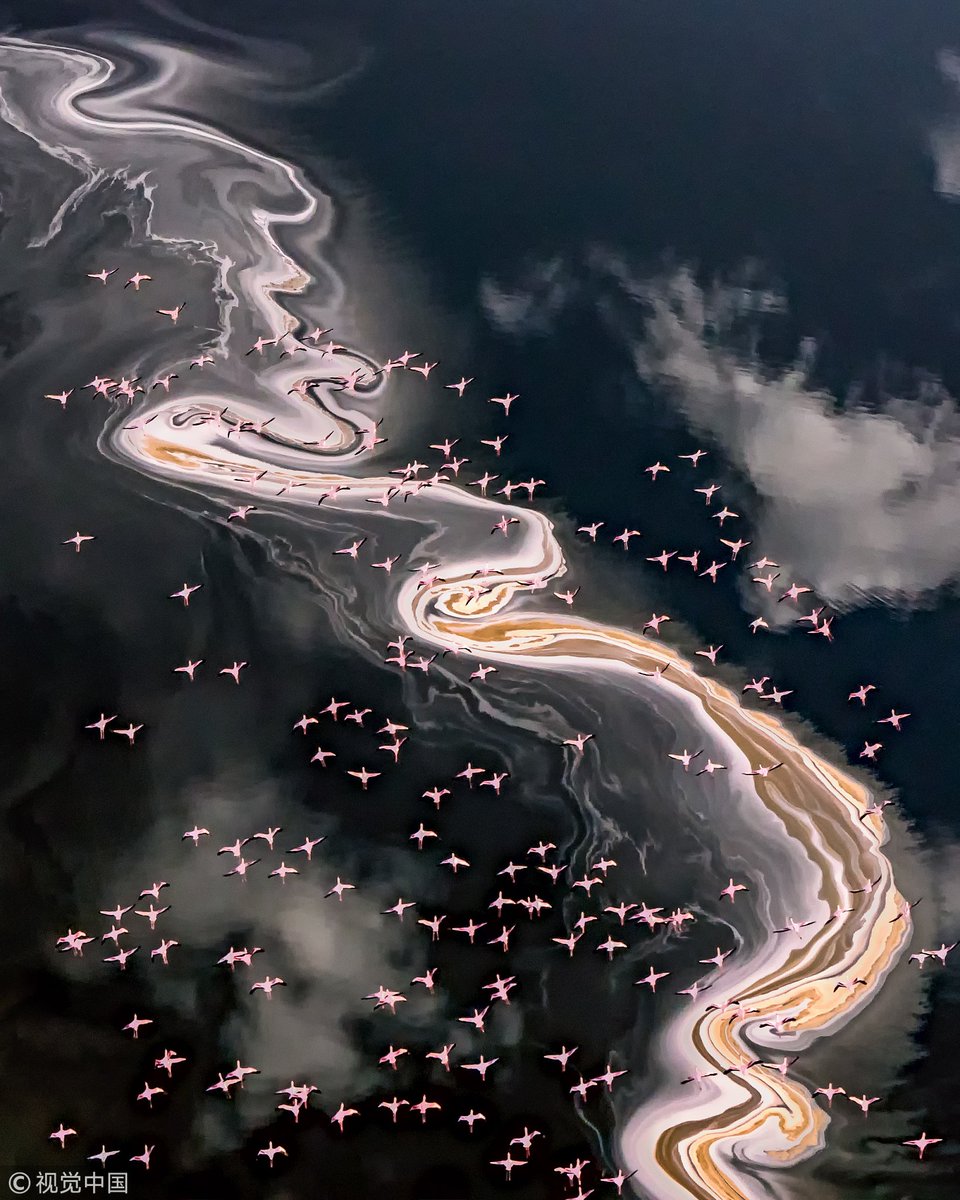 LEWIS KARANI. (@LEWISCARANI) | Twitter