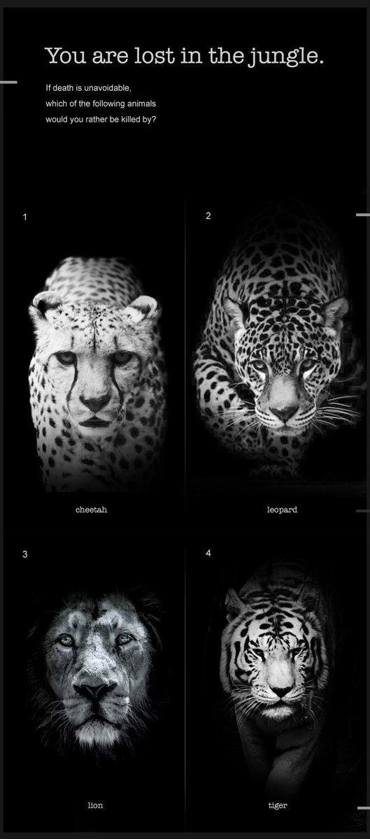 Sovon Halder (@sovonhalder) | Twitter