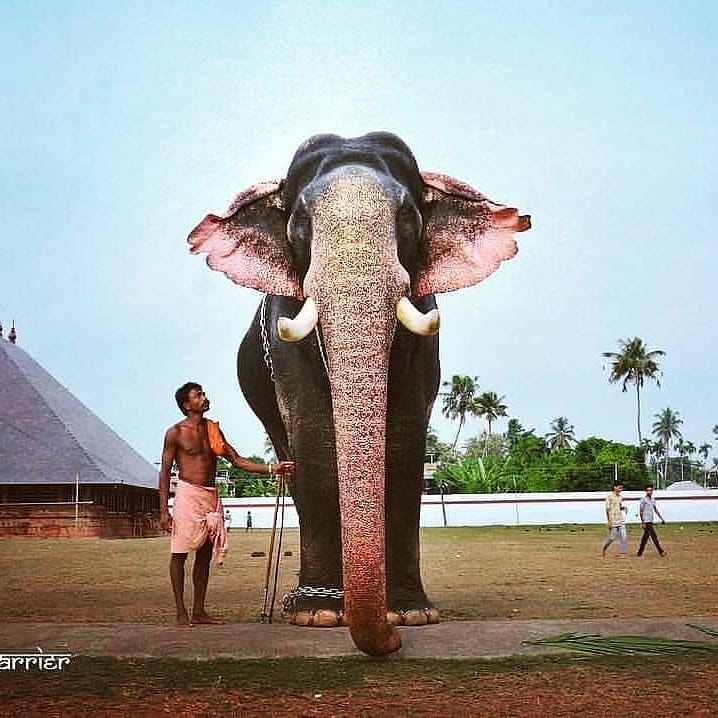 Thiruvambadi Sivasundar