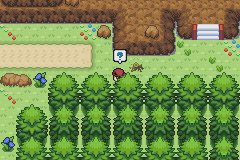 Whack a Hack! on Twitter: "Pokémon Amatista se actualiza y nos muestra un montón de nuevas ...