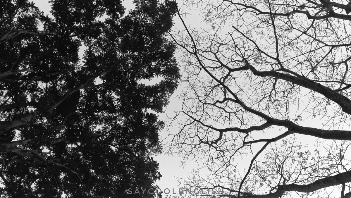 Ploy (@SupisarA_PloY) | Twitter