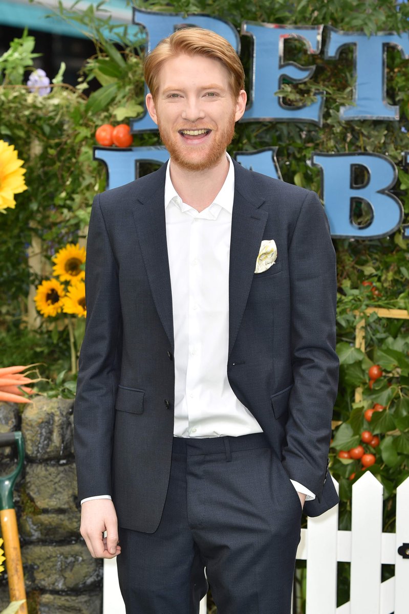 Pin by Vanbvlg on Domhnall Gleeson | Brendan gleeson, Irish actors ...