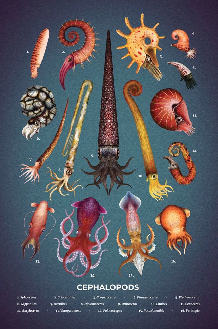 JCC - [Image heavy]A thread for art: See note on page 776 | Page 245 ...