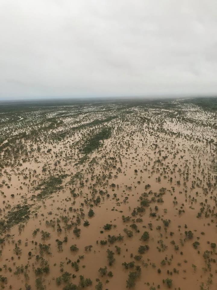 QLDfloods ⚠️ Flinders River at Walkers Bend – 12.6m, RISING ? Herbert ...