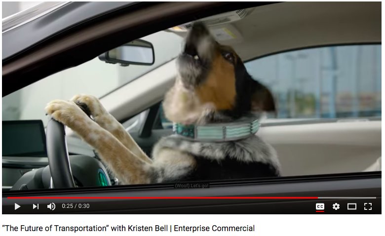 What Kind Of Dog Is In Aaron Rodgers Commercial