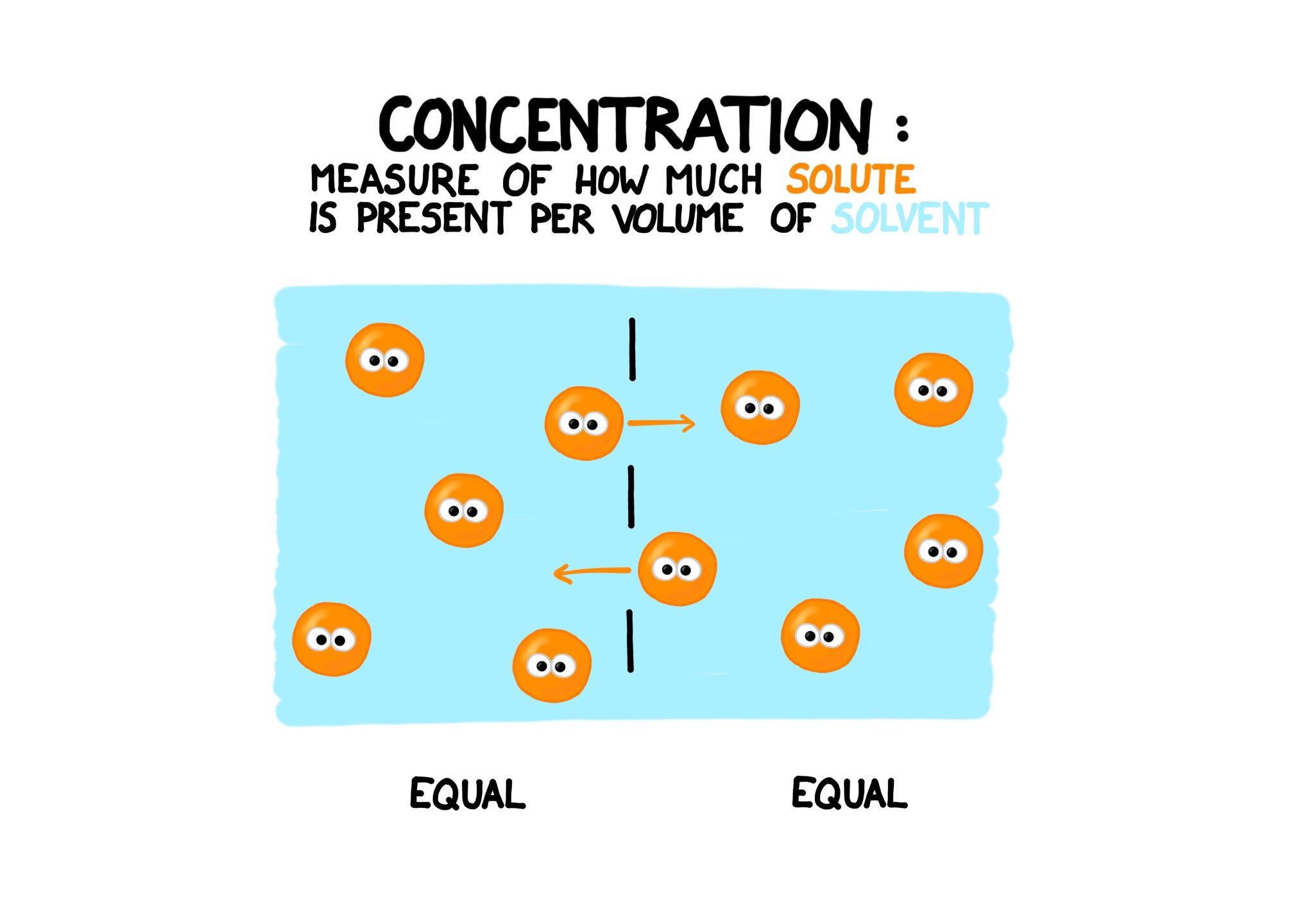 Equilibrium Biology Diffusion