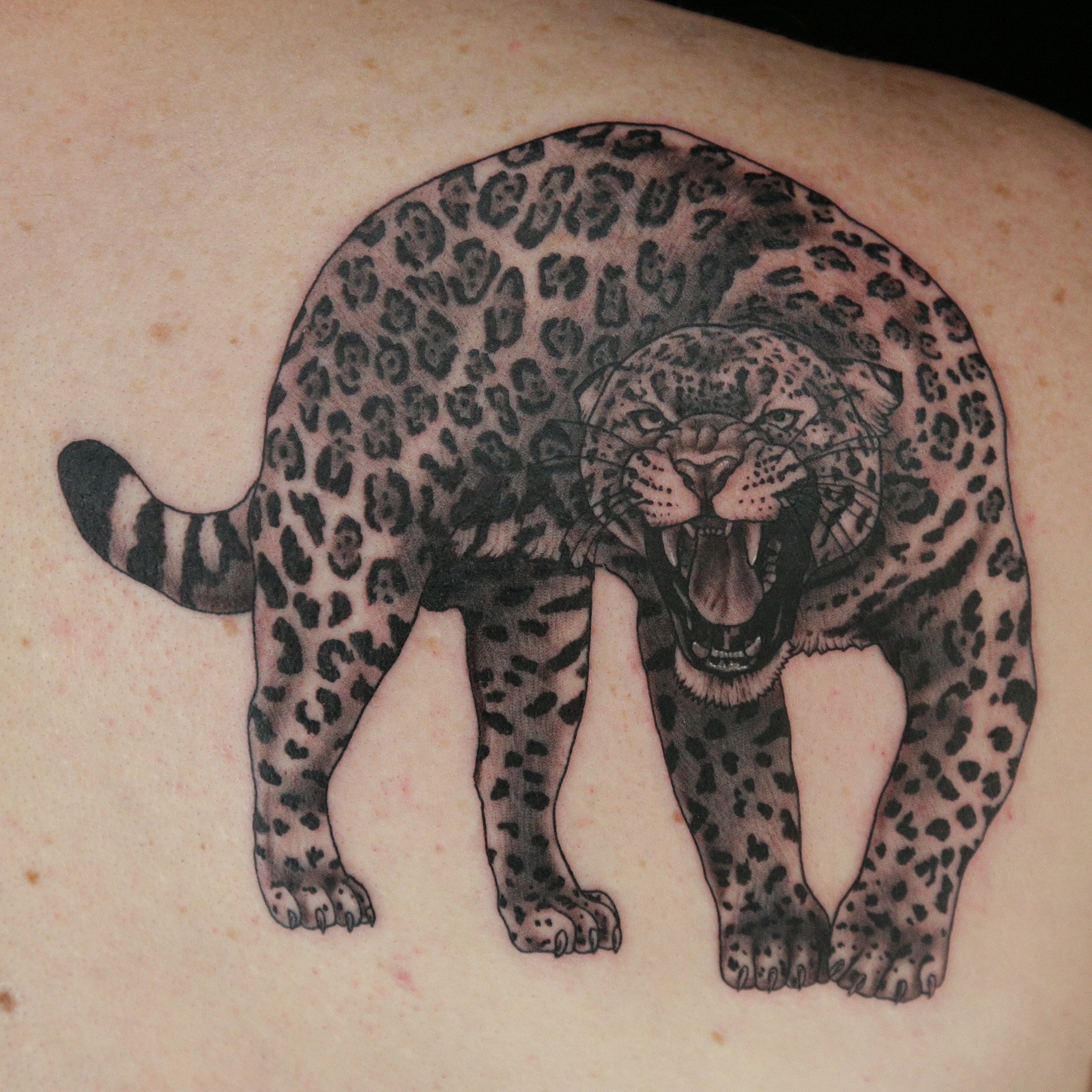Ink Master Leopard Tattoos Top 165 Feminine Cat Tattoos: From