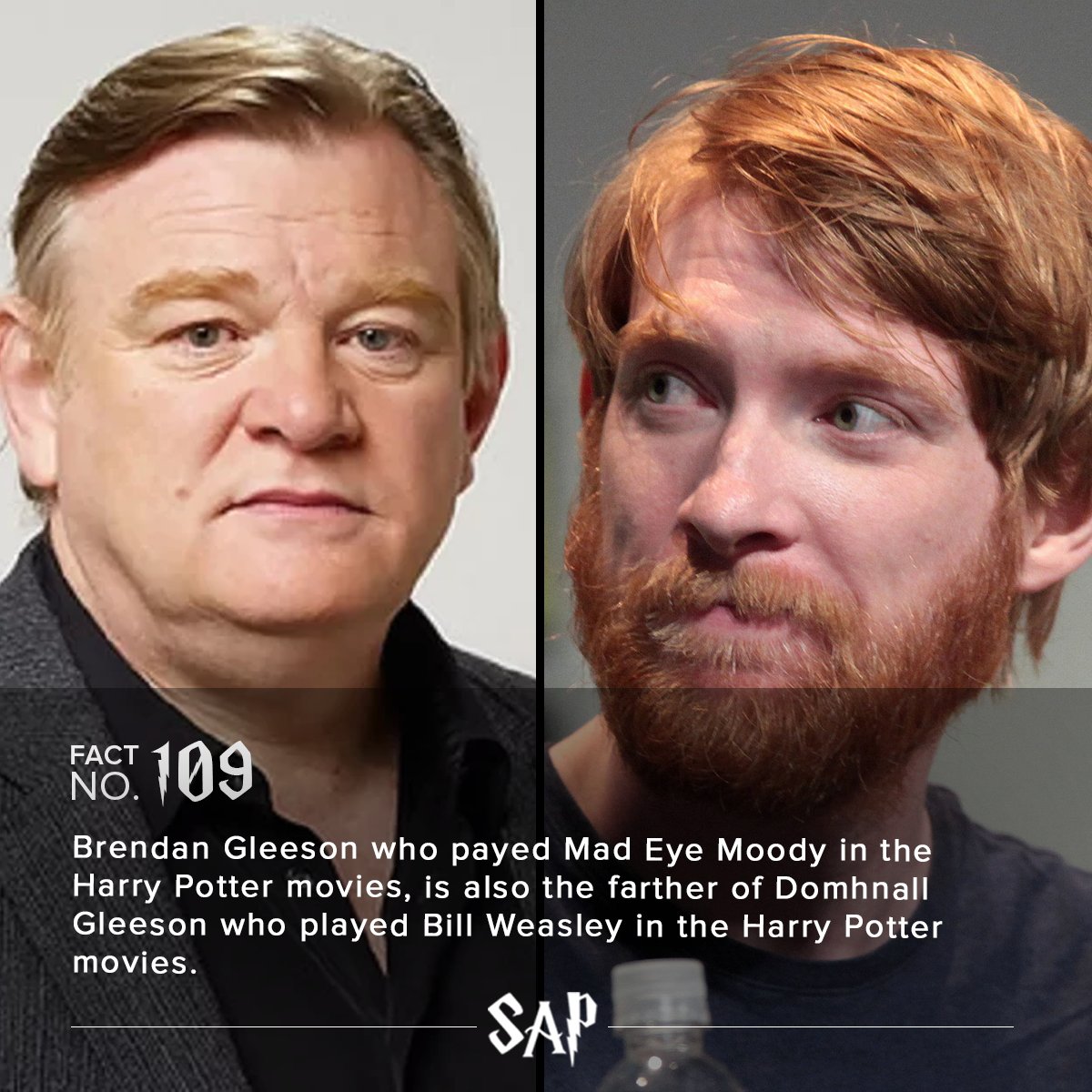 Harry Potter Bill Weasley Actor