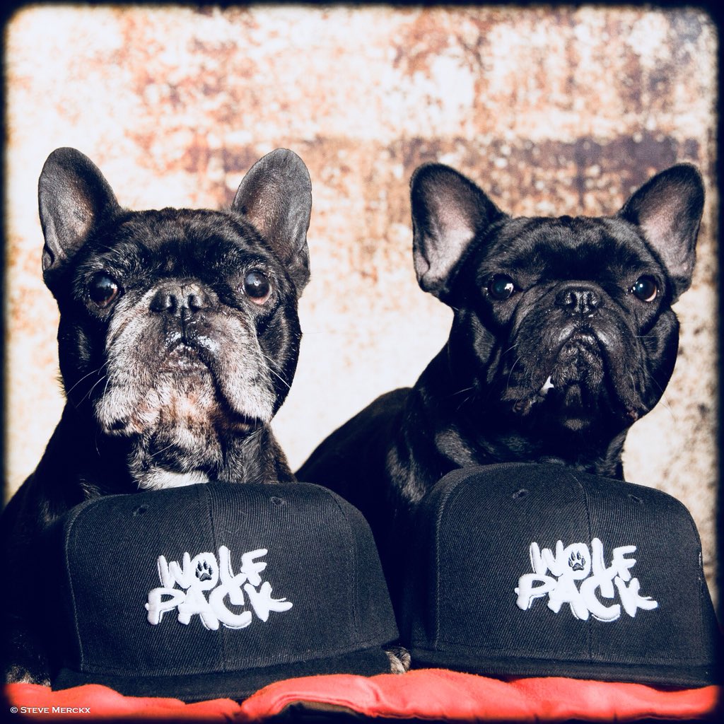 Ruben (@Ruben_Wolfpack) | Twitter