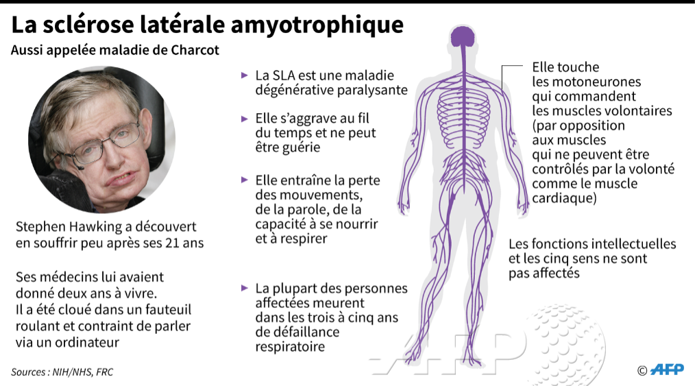 La sclérose latérale amyotrophique (SLA) ou maladie de Charcot dont ...