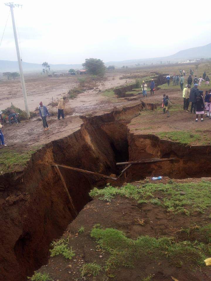 Comark Onani (@comark) | Twitter