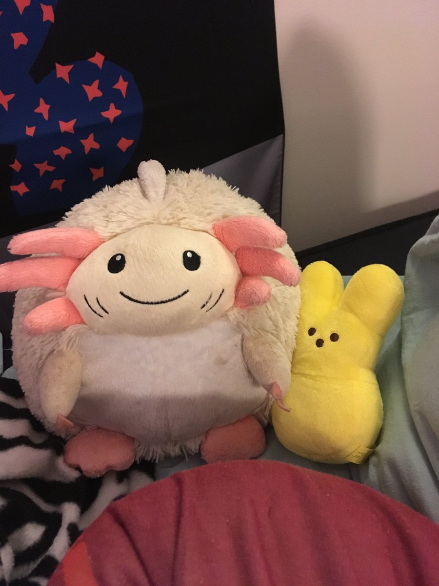 Kayla Schafer (@ChibiFangirl) | Twitter