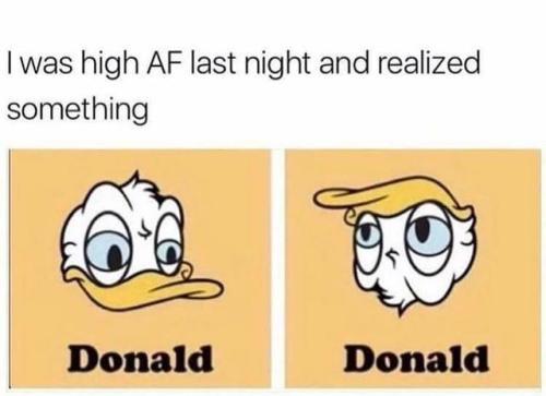 Donald Duck Meme