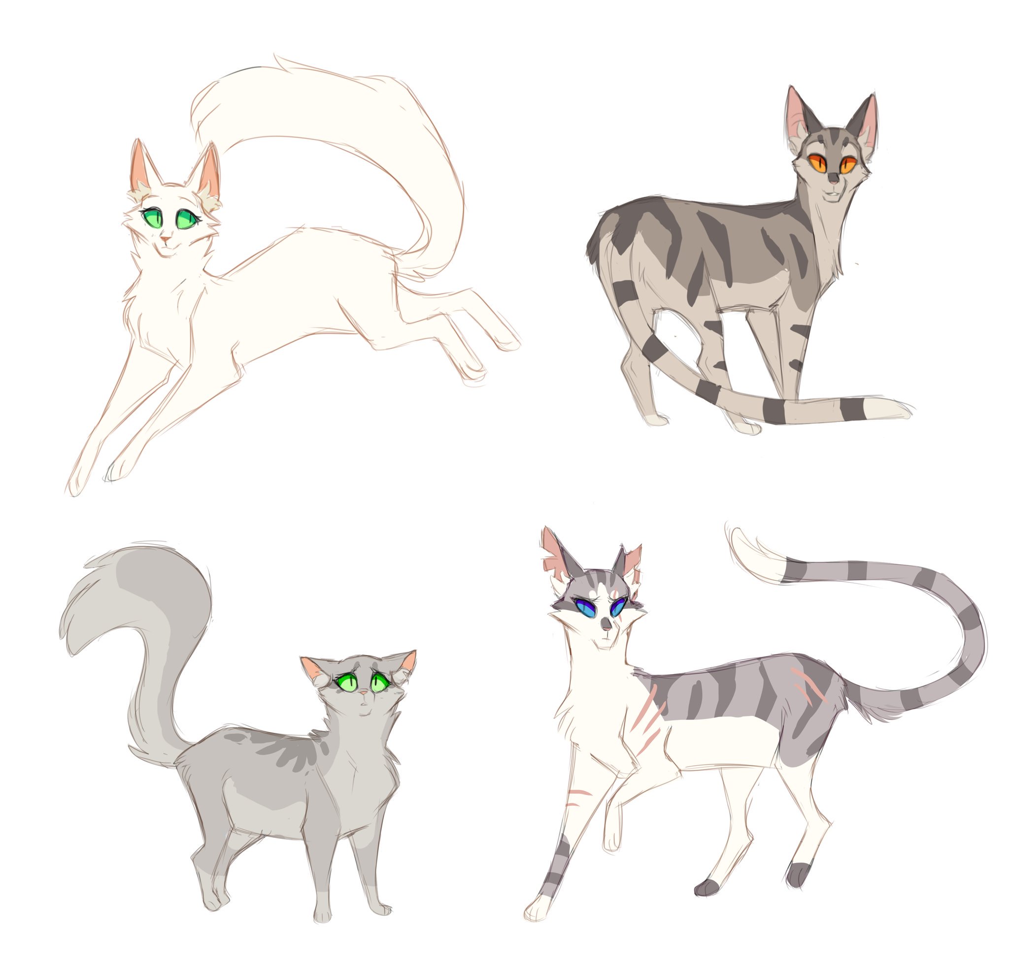 Dovewing Ultimate Guide