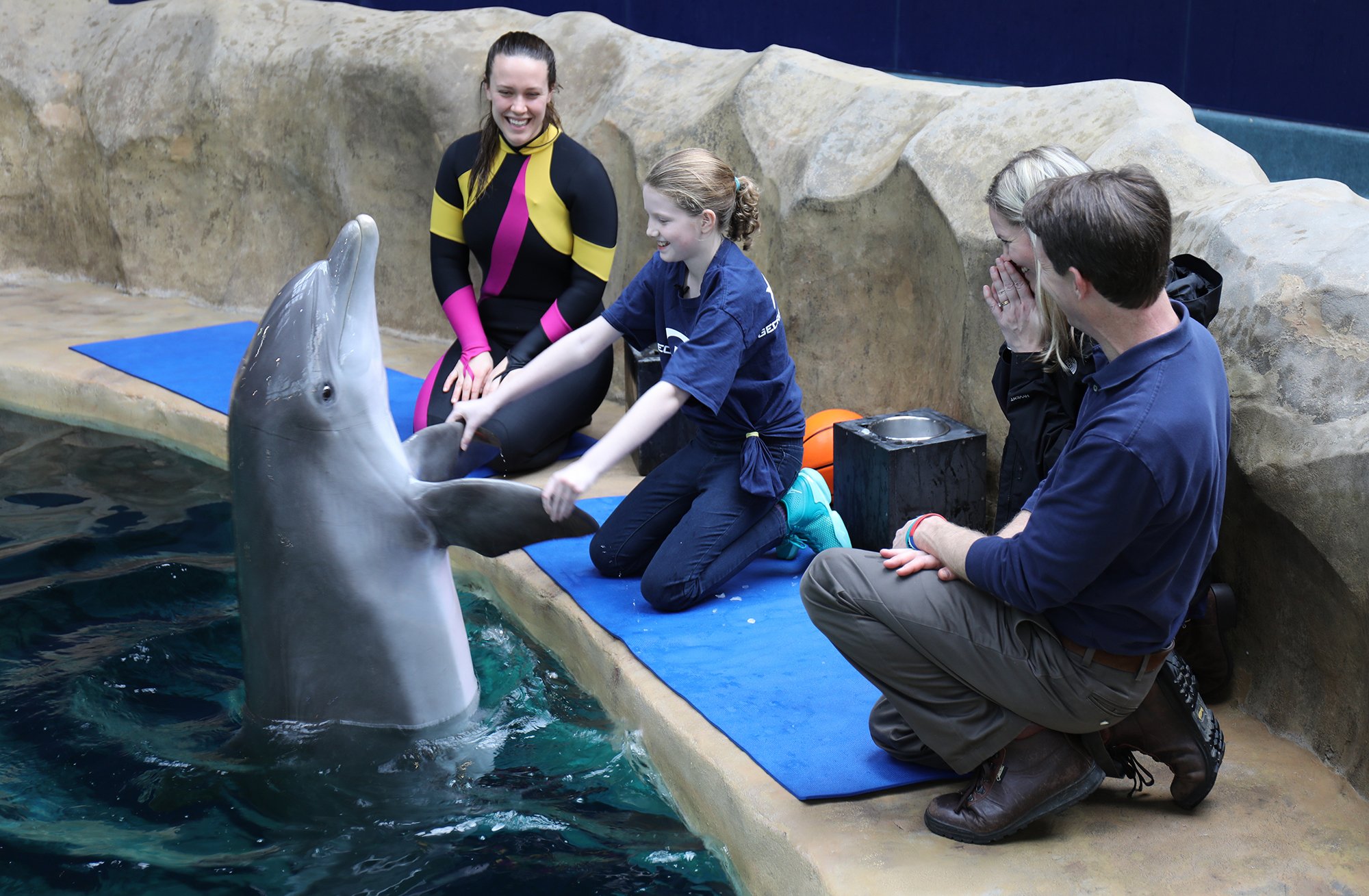 Georgia Aquarium Dolphins