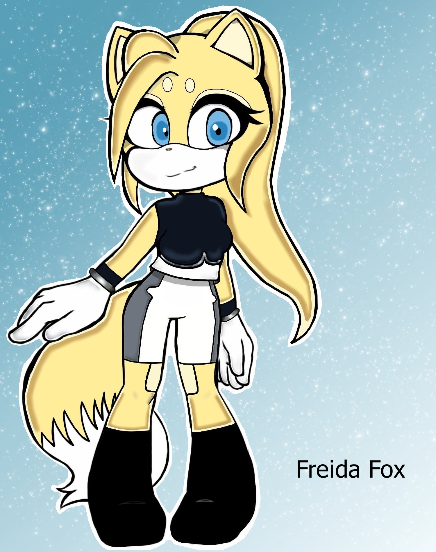 Sonic The Hedgehog Girl Characters Fox