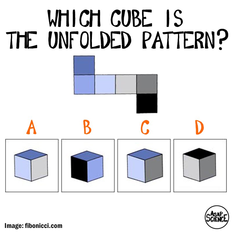 Spatial Intelligence Test