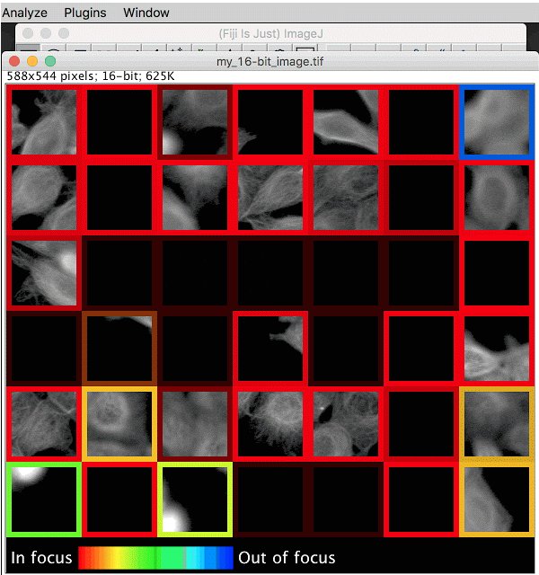 Check out deep learning for analyzing microscopy images, especially ...