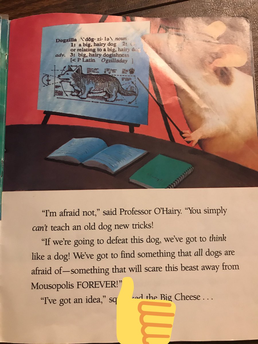Cassie DeCandia (@CassieDecandia) | Twitter
