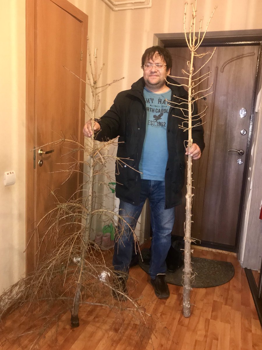 marina ulanova (@marinaulanova) | Twitter