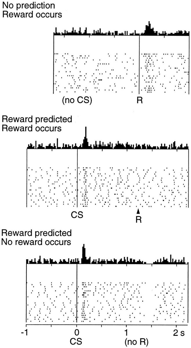 Bernd Porr on Twitter: "I think in the original Schultz paper there were about 10 neurons which ...