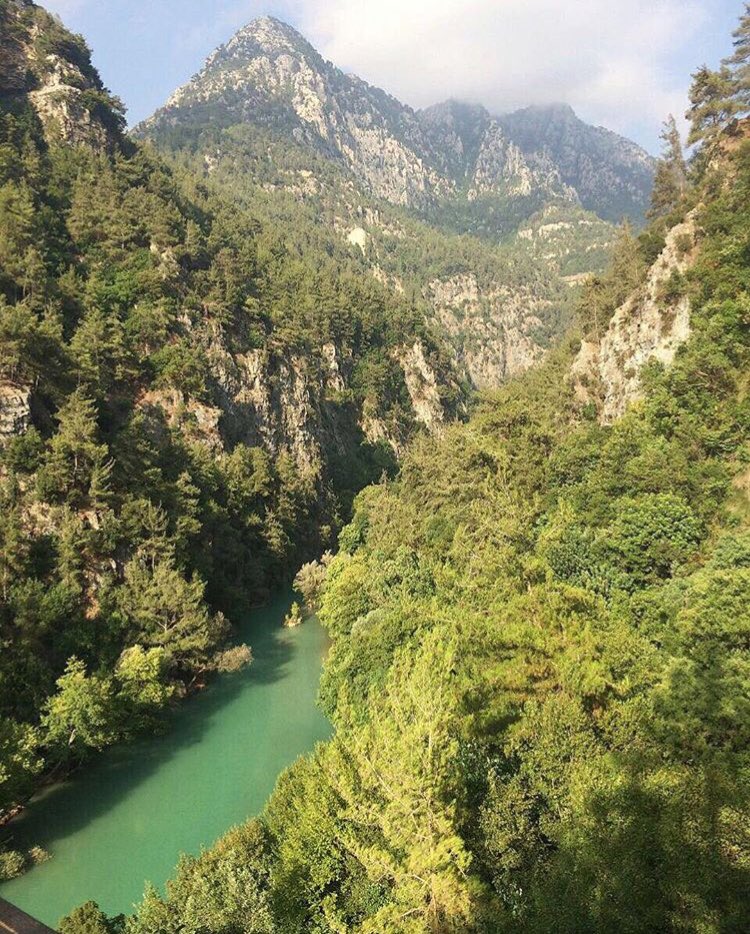 Chouwen (picture of the day) : r/lebanon