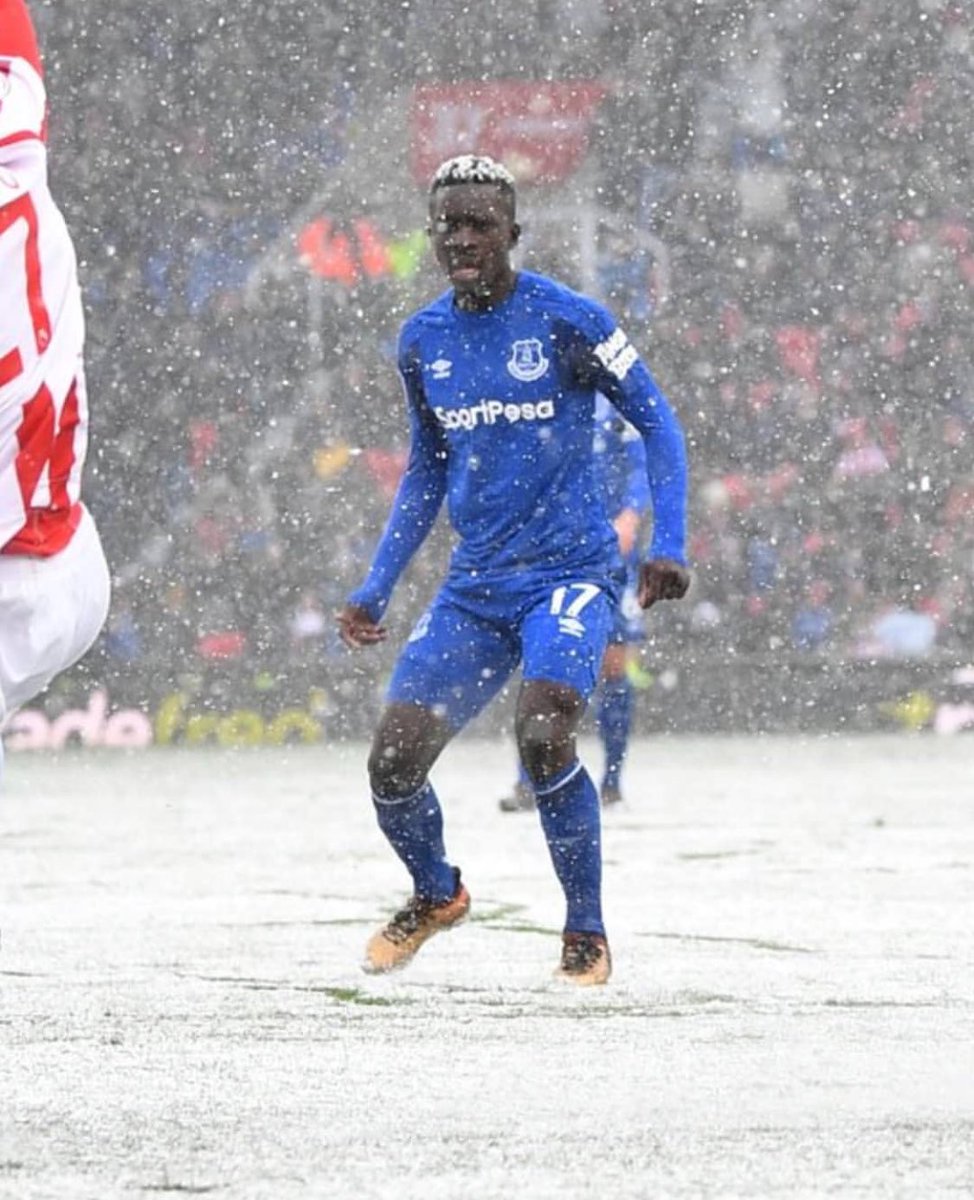 203 best Coyb images on Pholder | Everton, Aftgomes and Chelseafc