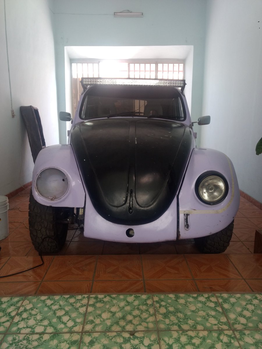 Pao Peralta 🐢 (@peraltam_pao) | Twitter