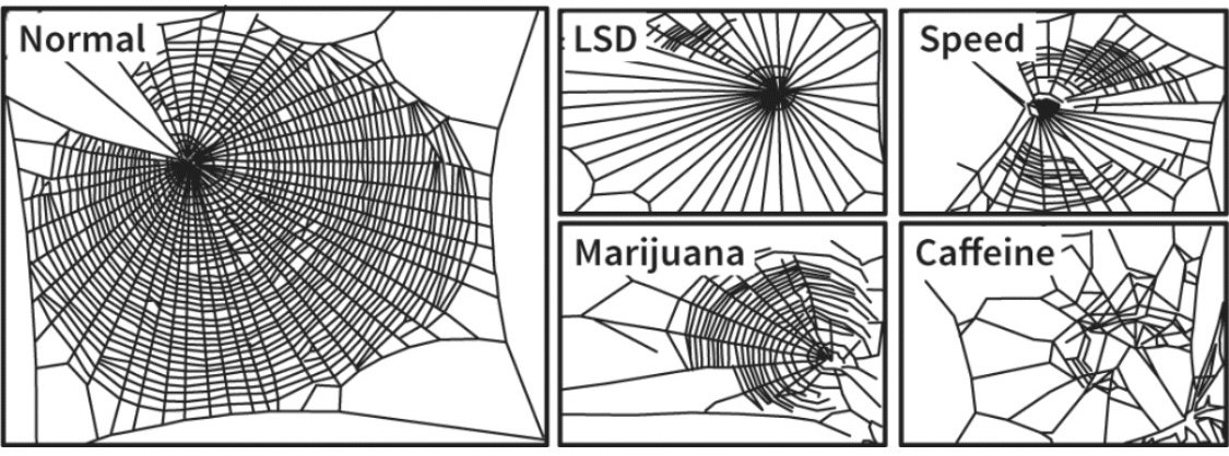 In the ‘80s NASA scientists fed spiders drugs - LSD, speed, marijuana ...