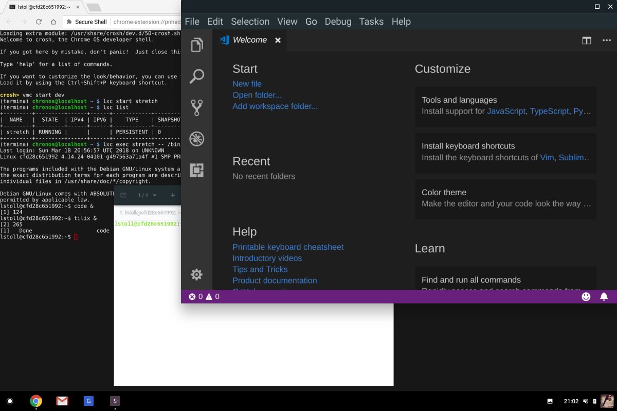 Visual Studio Code spotted running on Chrome OS via Crostini Container ...