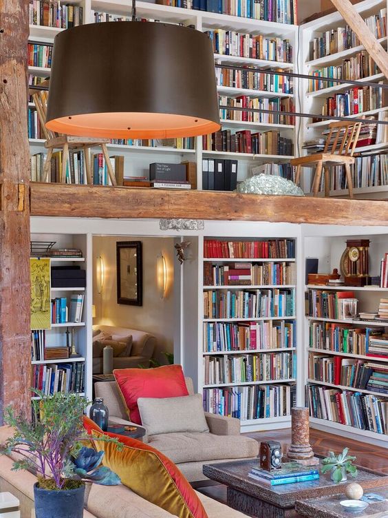 Dream Library Room