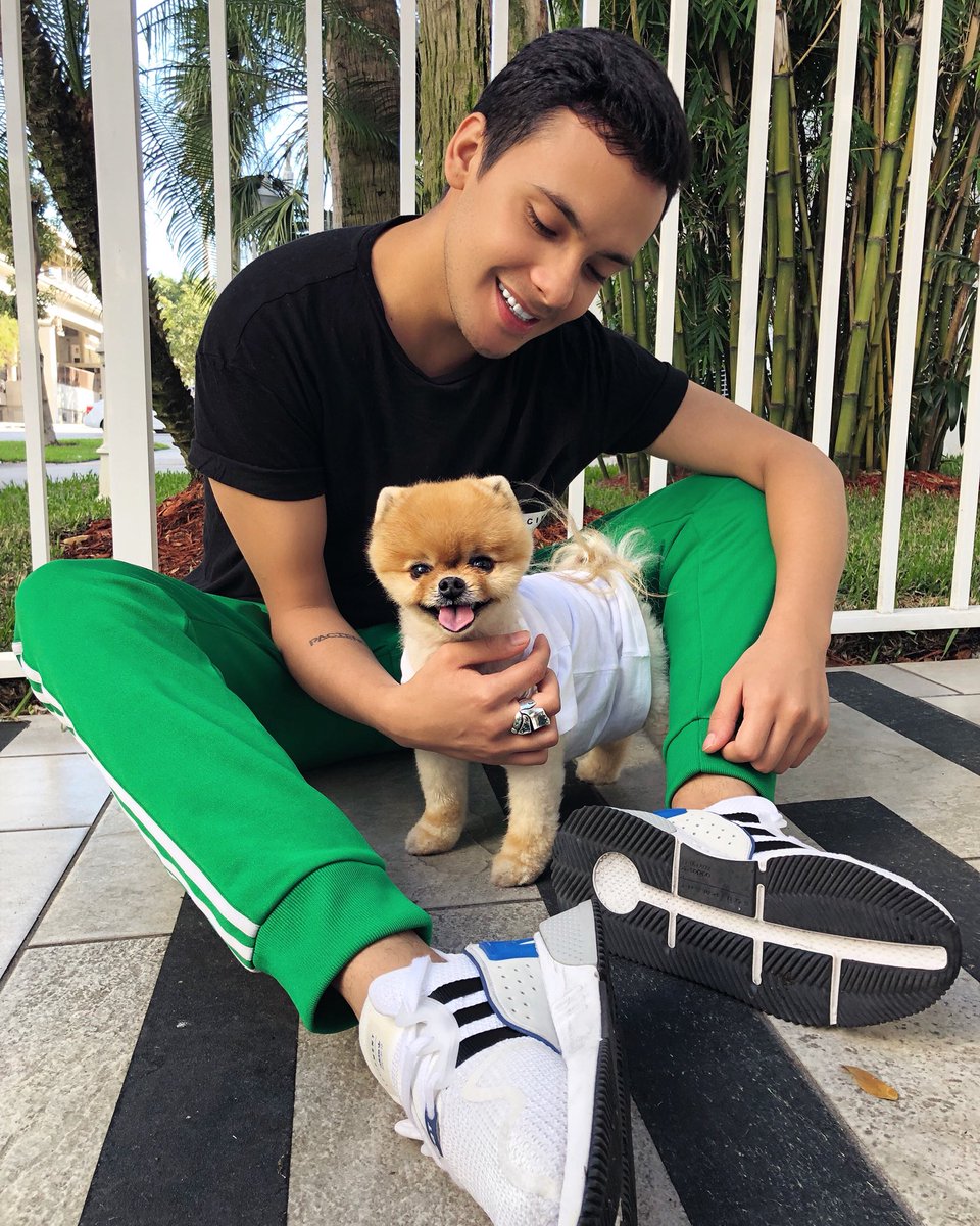 jiffpom @jiffpom Timeline, The Visualized Twitter