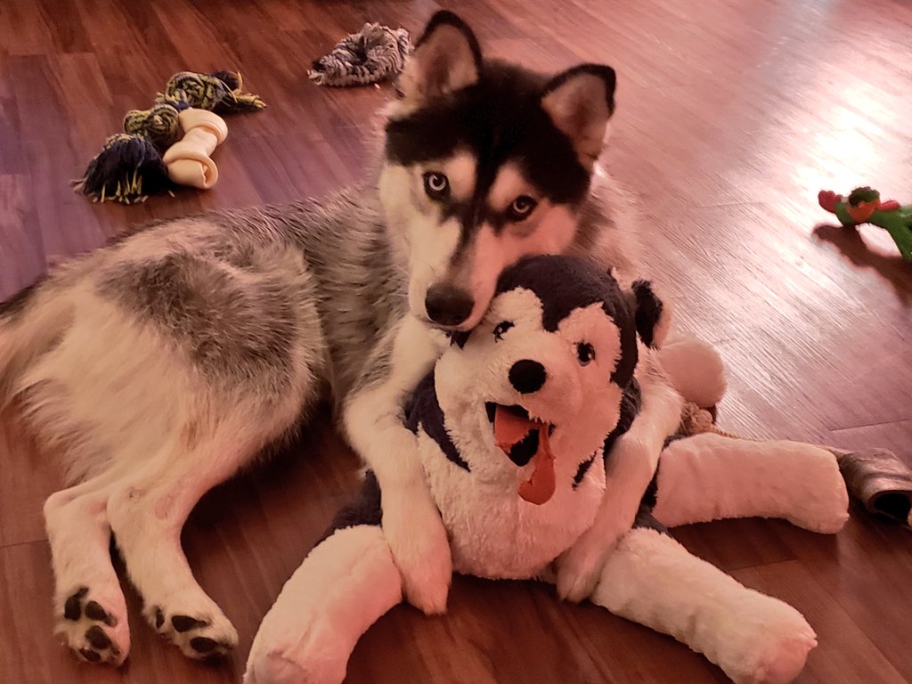 ScriptOn on Twitter: